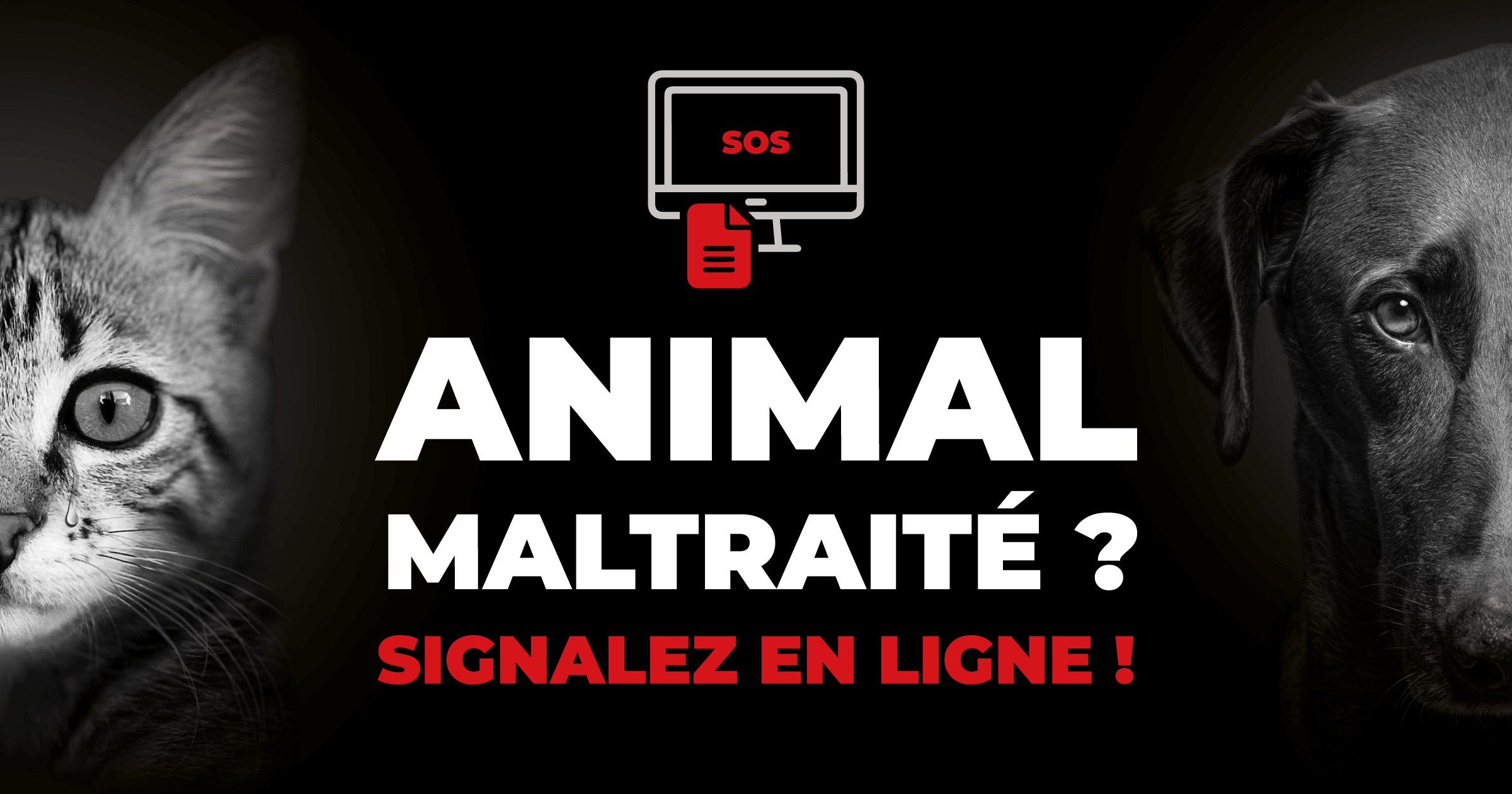Formulaire de signalement • 3677 • SOS Maltraitance Animale